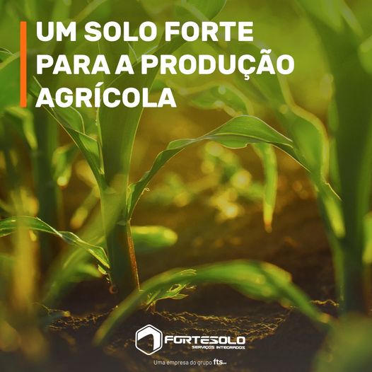 Um solo forte para a produção agrícola - Fortesolo